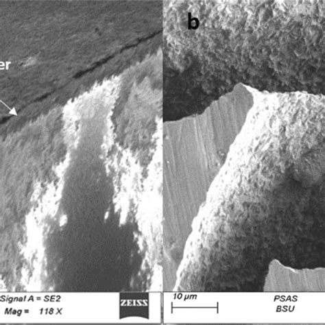 Sem Fractograph For Ips Emax Cad Specimen A Low Magnification Showing Download Scientific