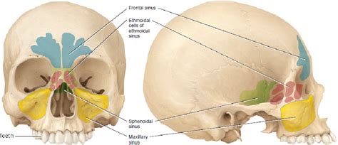 Figure 1 From A Real Coded Evolutionary Algorithm Based Registration