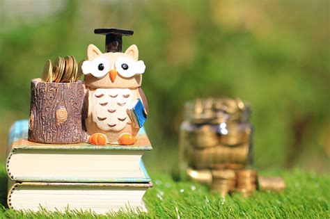 책에 졸업 모자에 올빼미 및 자연 녹색 배경에 유리병에 동전 돈을 스택 교육 개념에 대 한 비용을 절약 개념에 대한 스톡 사진 및 기타 이미지 Istock