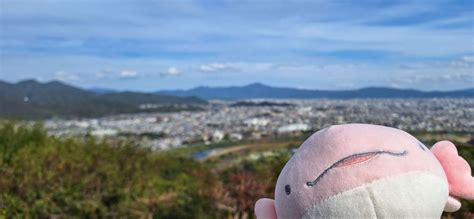 Toro Inoue Cute Wallpapers Pretty Wallpapers Pretty Pictures