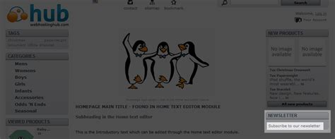 Configuring The Mailchimp Module For Prestashop Newsletters Web