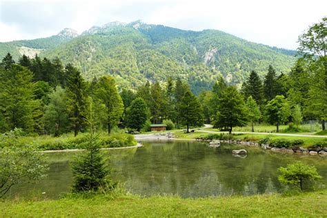 무료 이미지 생태계 황야 자연 보호 구역 초목 마운트 풍경 나무 반사 은행 언덕 역 작은 호수 못 잔디 생체 수변 지역 고지 목초지 경치