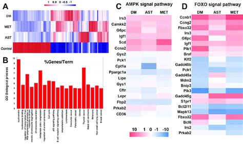 Rna Seq Analyses Of Differentially Expressed Transcripts In