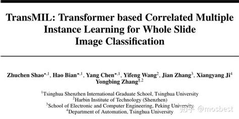 transmil 基于 correlated multiple instance learning transformer 用于 wsi