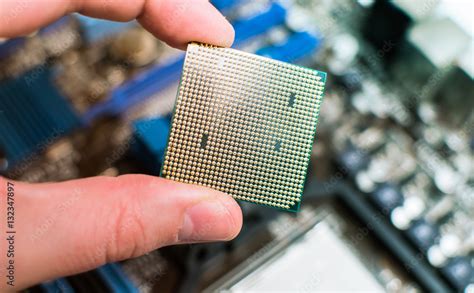 Installing The CPU Into The Motherboard Stock Photo Adobe Stock