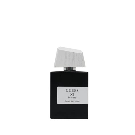 Buy Xceed Cubes Xi Intense Extract De Parfum 100ml M Hiland Beauty