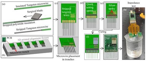 Fabrication Process Of The Microwire Based Mea A Microwire Download Scientific Diagram