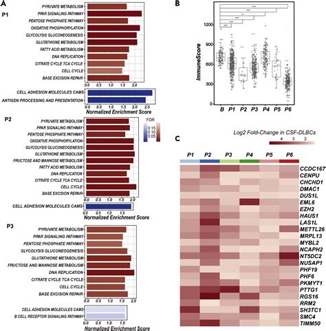 Single Cell Transcriptome Analysis Of Diffuse Large B Cells In Cerebrospinal Fluid Of Central