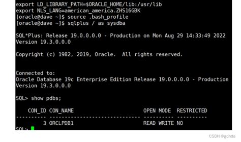 Linux虚拟机安装oracle数据库linux安装oracle数据库 Csdn博客