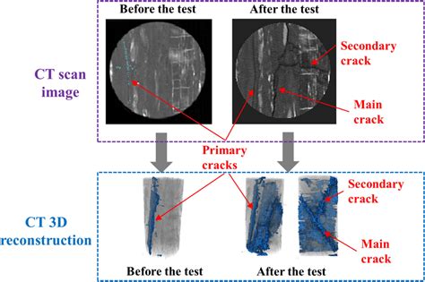 Ct Scan Images And 3d Reconstruction Results Of Samples Before And Download Scientific Diagram