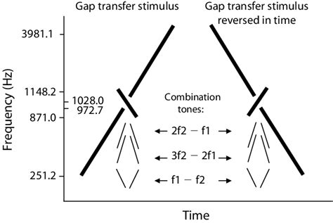 Two Of The Stimulus Patterns Used In Experiment 1 Both The Gap Download Scientific Diagram