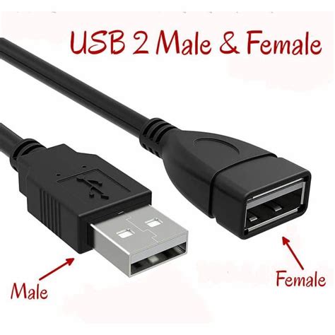 Difference Between Male And Female Usb Cable At Samantha Tomlinson Blog