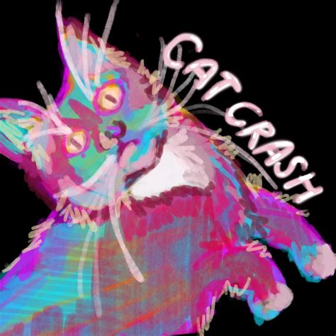 Cat Crash Youtube