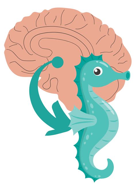 Get To Know The Hippocampus Oakwood Creative Care