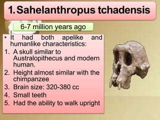 Lesson1biologicalandculturalevolutionfromaustralophitecustohomosapiens