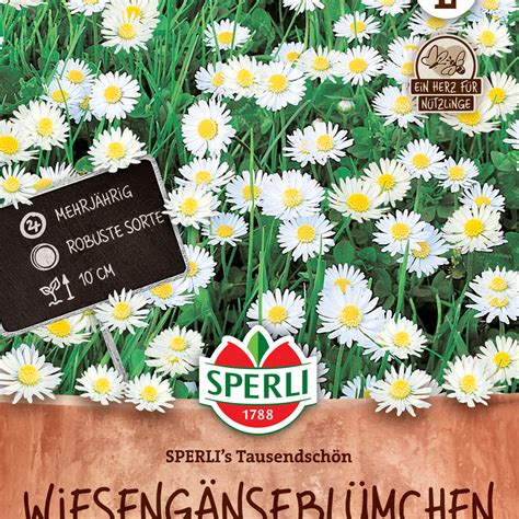 Seminte Margarete Sperli Tausendschon Amestec Multicolor De Efect Verdena