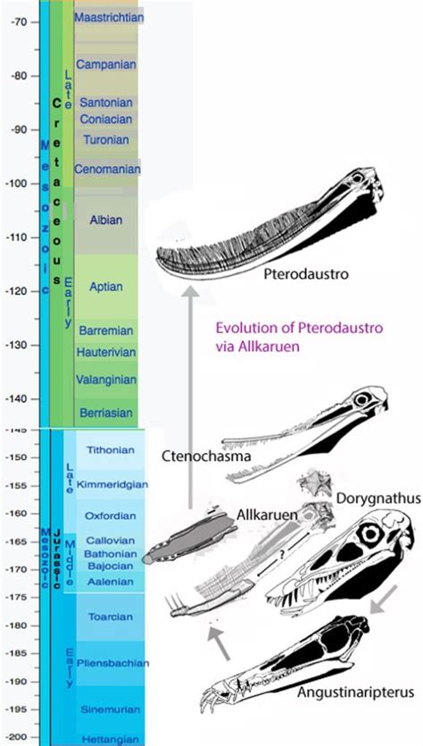 July 2017 The Pterosaur Heresies