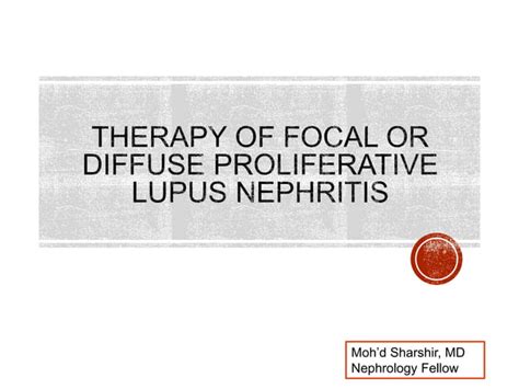 Therapy Of Focal Or Diffuse Proliferative Lupus Nephritis Mohd