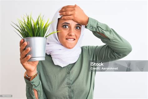 고립 된 배경 위에 화분 냄비를 들고 히잡을 착용 한 젊은 아랍 여성은 부끄러움과 깜짝 얼굴에 충격을 받고 분노와 좌절에 충격을