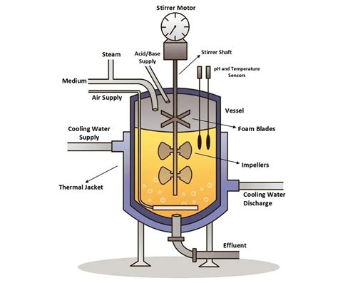 What Is A Bioreactor Used For Blog