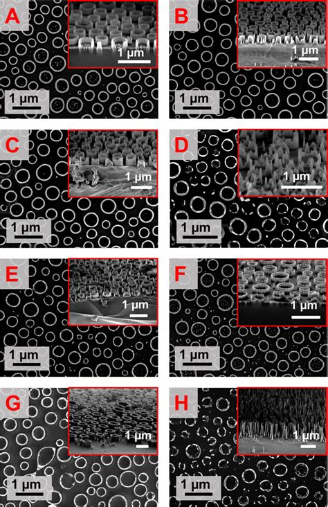Sem Micrographs Top Down And Associated Cross Section At 70° Of Download Scientific Diagram