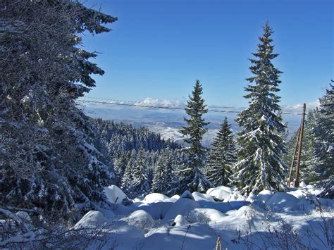 Снежна разходка до Витоша Боерица Кумата Раждане на добро настроение