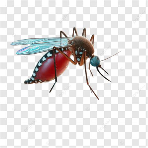 투명 배경에 3d 뎅기열 모스크 투명 배경에 3d 뎅기열 모스크 뎅기열 모스크 뎅기열 Png 일러스트 및 이미지 에 대한 무료 다운로드 Pngtree