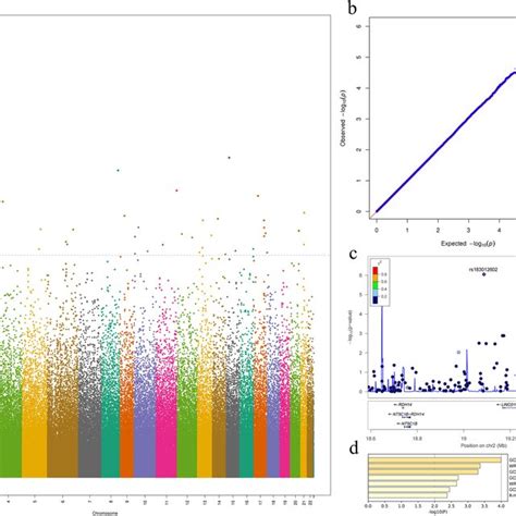 Gwas Result Of Phenotype Dd 1 A Manhattan Plot Of Association Download Scientific Diagram