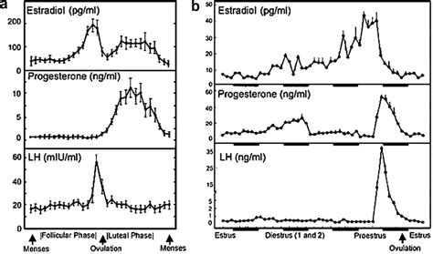 Studying Sex And Gender Differences In Pain And Analgesia A Pain