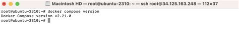 How To Install Docker On Ubuntu Devtutorial