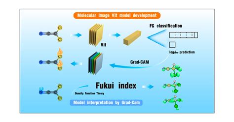 Efficiently Predicting Reaction Rates And Revealing Reactive Sites With