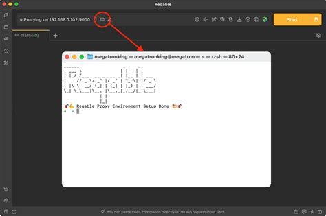 Proxy Terminal Reqable · Api Debugging Proxy And Rest Client