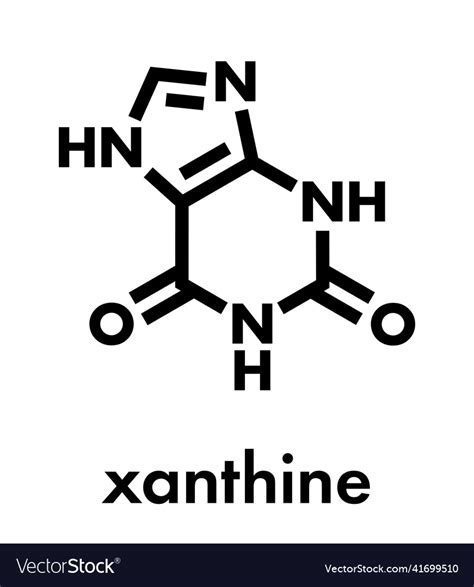 Xanthine Purine Base Molecule Skeletal Formula Vector Image