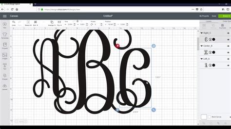 Intertwined Vine Monogram Font
