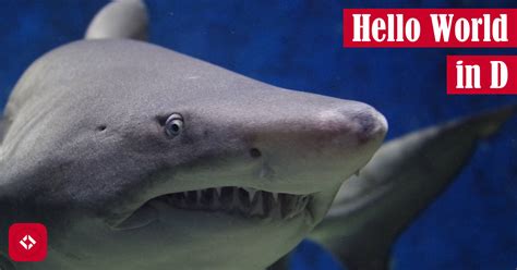 Hello World In D The Renegade Coder