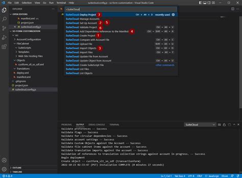 Understand Your Options For Customization Deployment Between Netsuite
