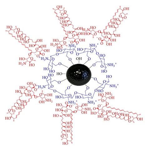 Scheme Representing The Interaction Between Nyst Cs And Mnps In The