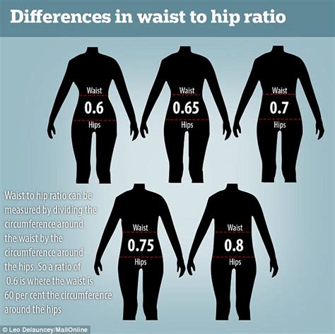 Usc Scientist Believes Men Can Prefer Personal Details Of Women With Perfect Body Shape