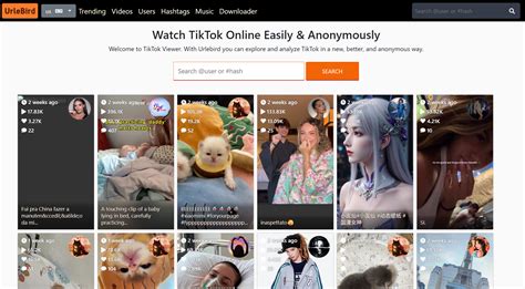 Anonymous Tiktok Viewer Guide How To Watching Tiktoks Anonymously