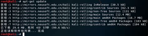 kali linux 无法定位软件包”解决方法 kali无法定位软件包 csdn博客