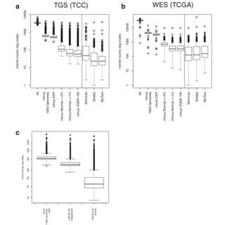 Schematic Of Tumor Only Mutation Calling Pipeline Analytical Pipeline Download Scientific