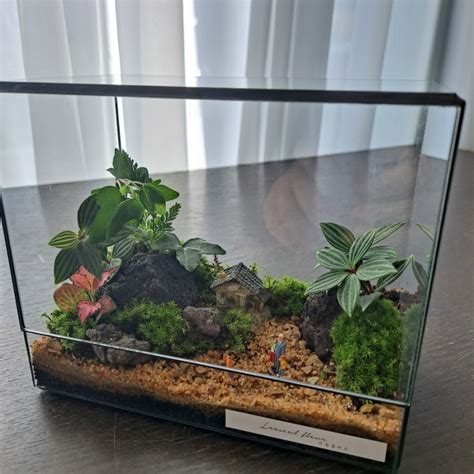 테라리움 단체수업 테라리움선물 기념일선물 집들이선물 양산꽃집 물금꽃집 증산꽃집 석산꽃집 범어꽃집 양산부산대학꽃집 물금역꽃집 리슬플레르 네이버 블로그