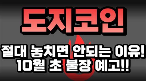 도지코인 절대 놓치면 안되는 이유 10월 초 불장 예고 Youtube