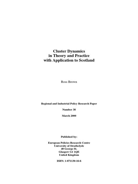 Cluster Dynamics In Theory And Practice Pdf Policy Governance