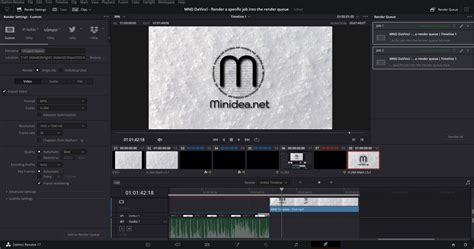 Filedavinci Resolve Deliver Pagepng Minidea Wiki