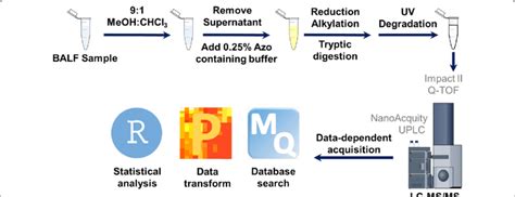 Sample Workflow Schematic View Of Sample Preparation Data