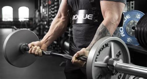 Rogue Curl Bar Review Hands On Test And Why Its The Best Investment For Arm Training Boxrox