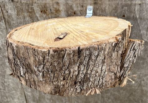 Natural Timber Step Kitty Kingdom