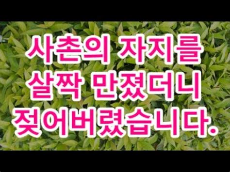 이야기 사촌의 자지를 살짝 만졌더니 젖어버렸습니다 톡톡사이다 꿀꿀극장 카톡썰 톡톡하늘 네이트판 톡썰 썰톡 실화사ㅋ 시어머니 YouTube