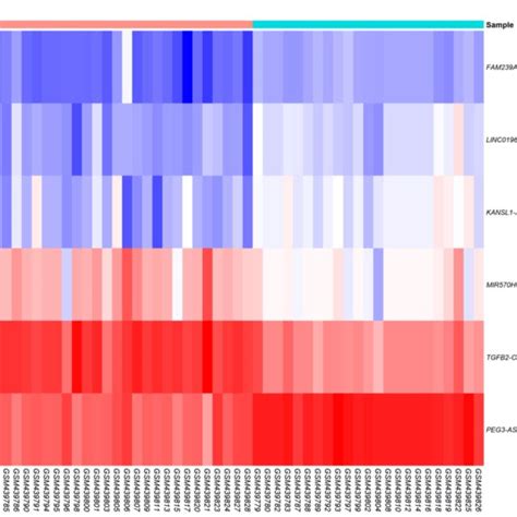 Figure Diierentially Expressed Long Non Coding Rnas Delncrnas Download Scientific Diagram